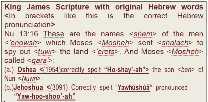 Bayith-Yaw | Insert Title Here